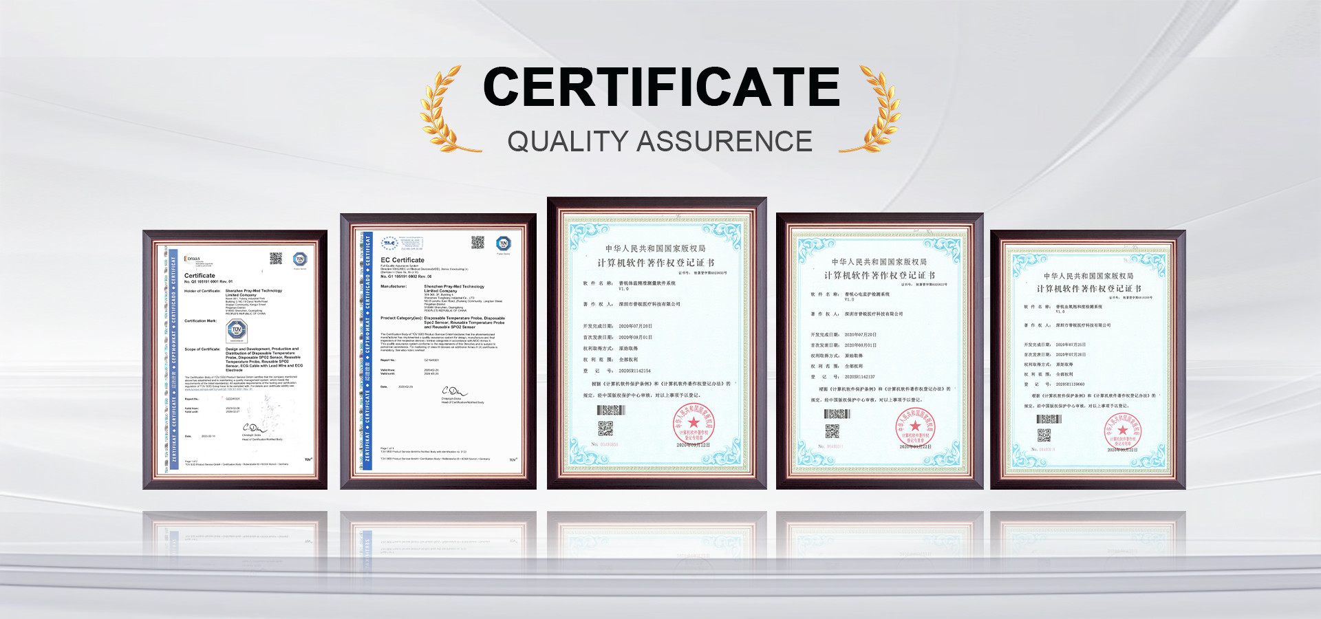 Quality Disposable Spo2 Sensor & Adult Spo2 Sensor factory from China