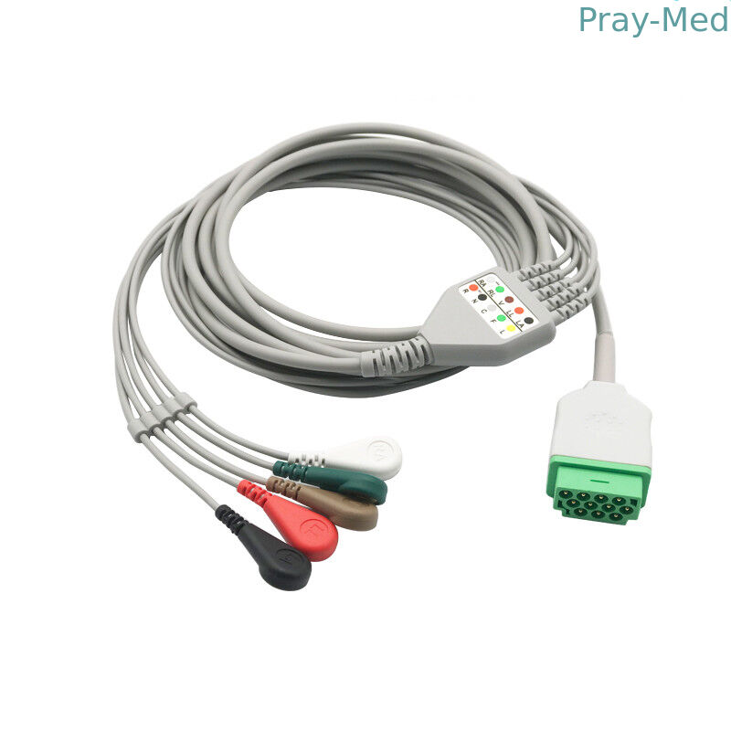Medical Reusable GE Marqutte Holter Recorder Integrated 5 Leadwires ECG ...