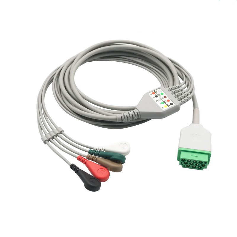 Medical Reusable GE Marqutte Holter Recorder Integrated 5 Leadwires ECG ...